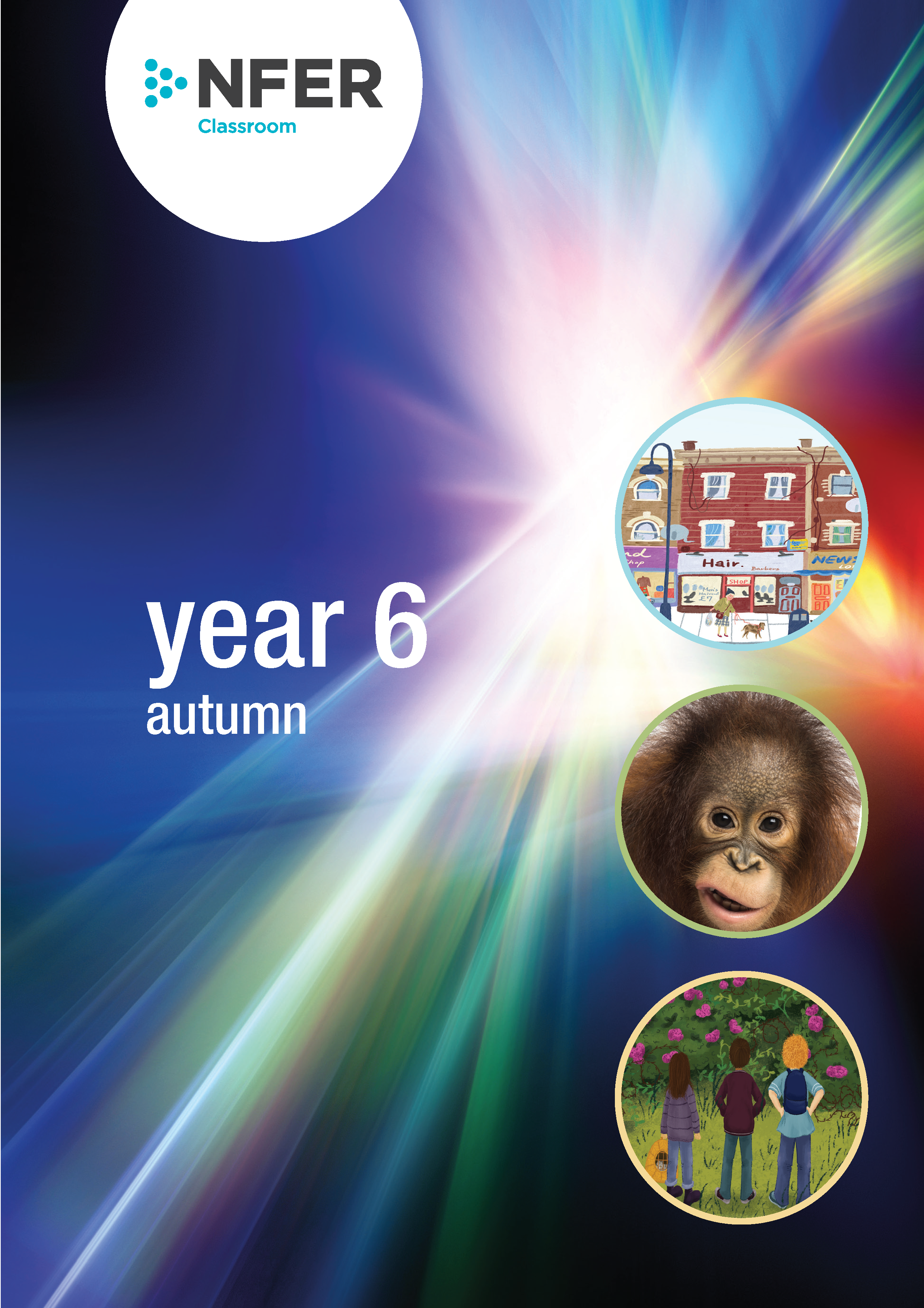 Year 6 Autumn Reading prompt materials booklet pack - NFER