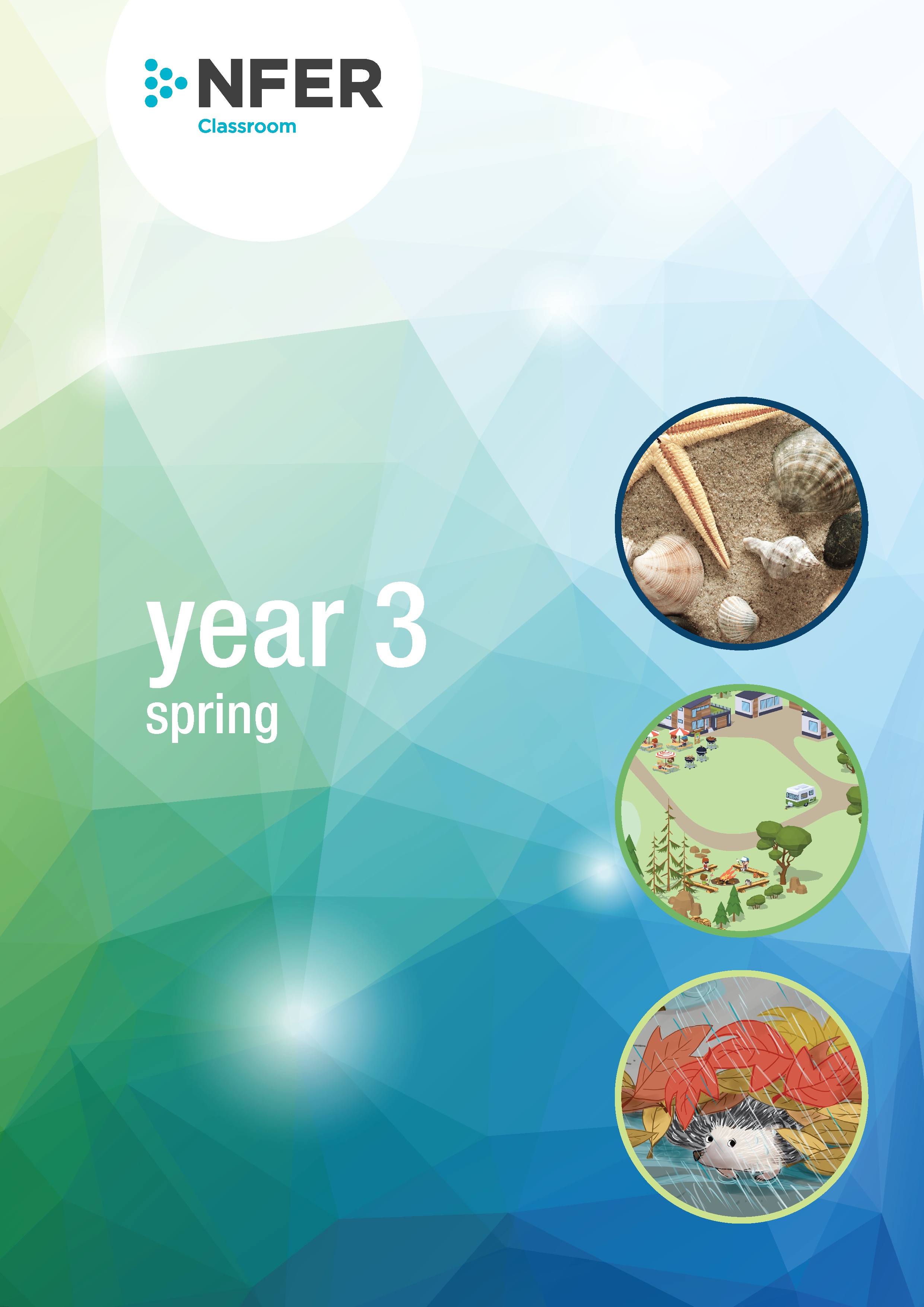 Year 3 Spring Reading prompt materials booklet pack - NFER