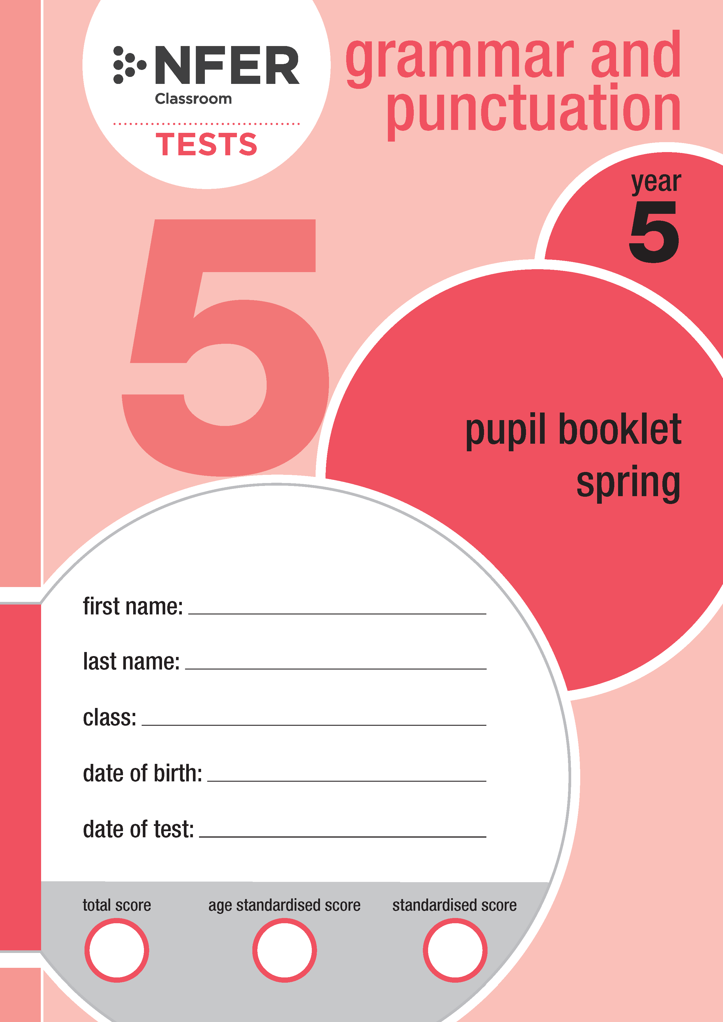 Year 5 Spring Grammar and punctuation Teacher guide - NFER