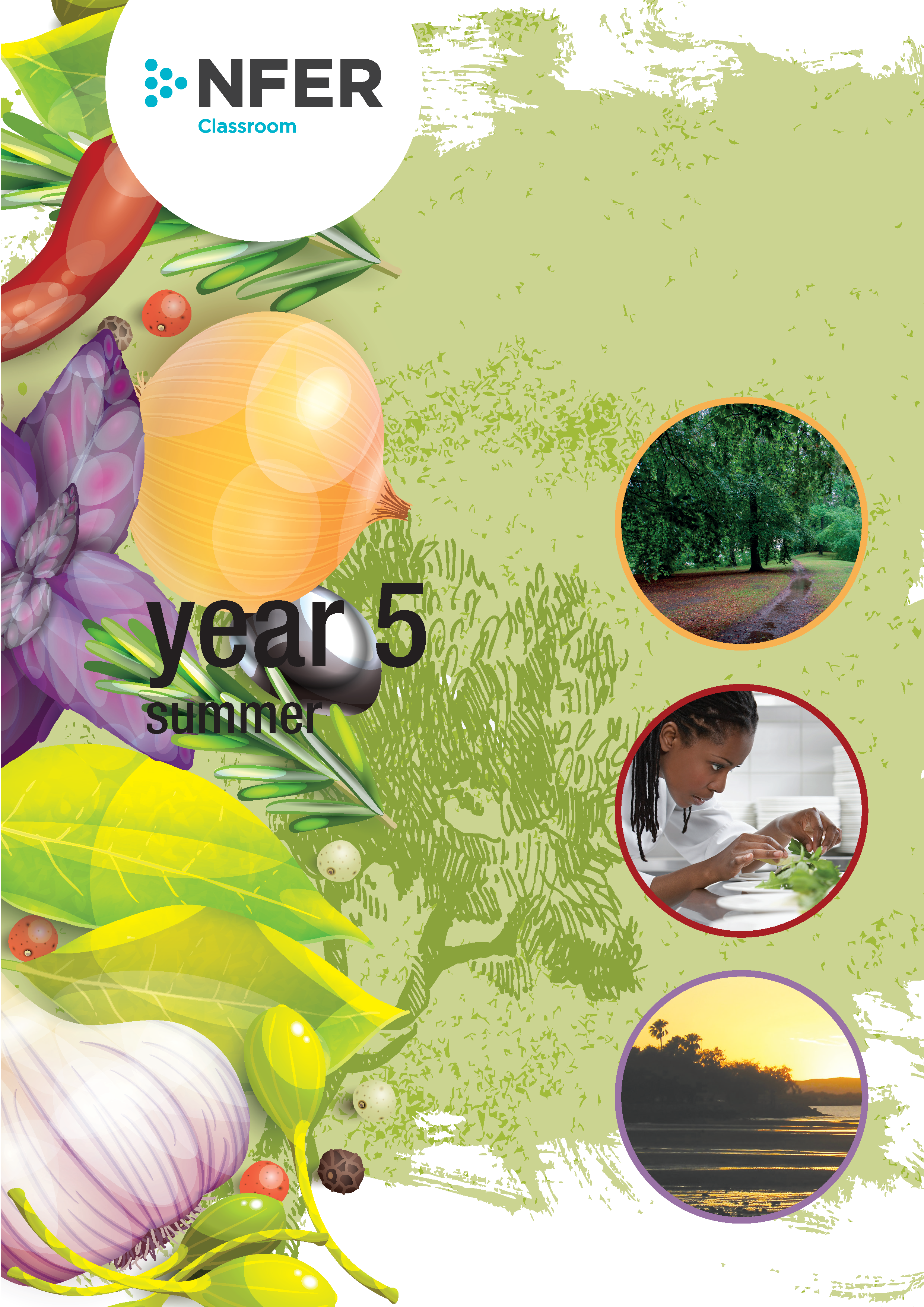 Year 5 Summer Reading pupil answer booklet pack - NFER